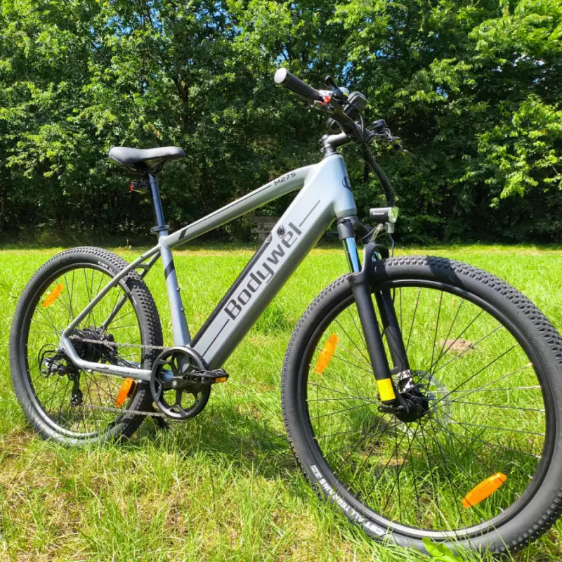 How To Choose The Right Size E-Bike According To Personal Height ...